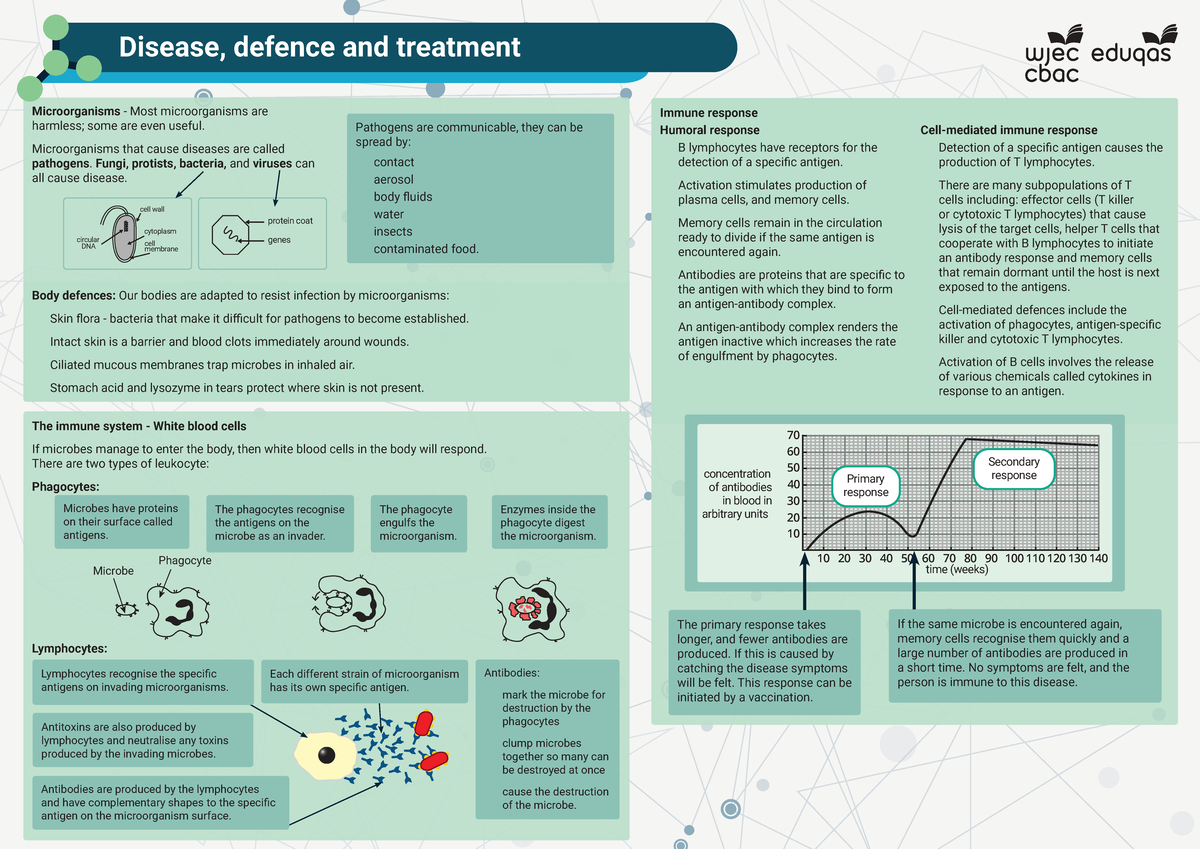 Disease Defence and Treatment: Microorganisms and Immune Response - Studocu