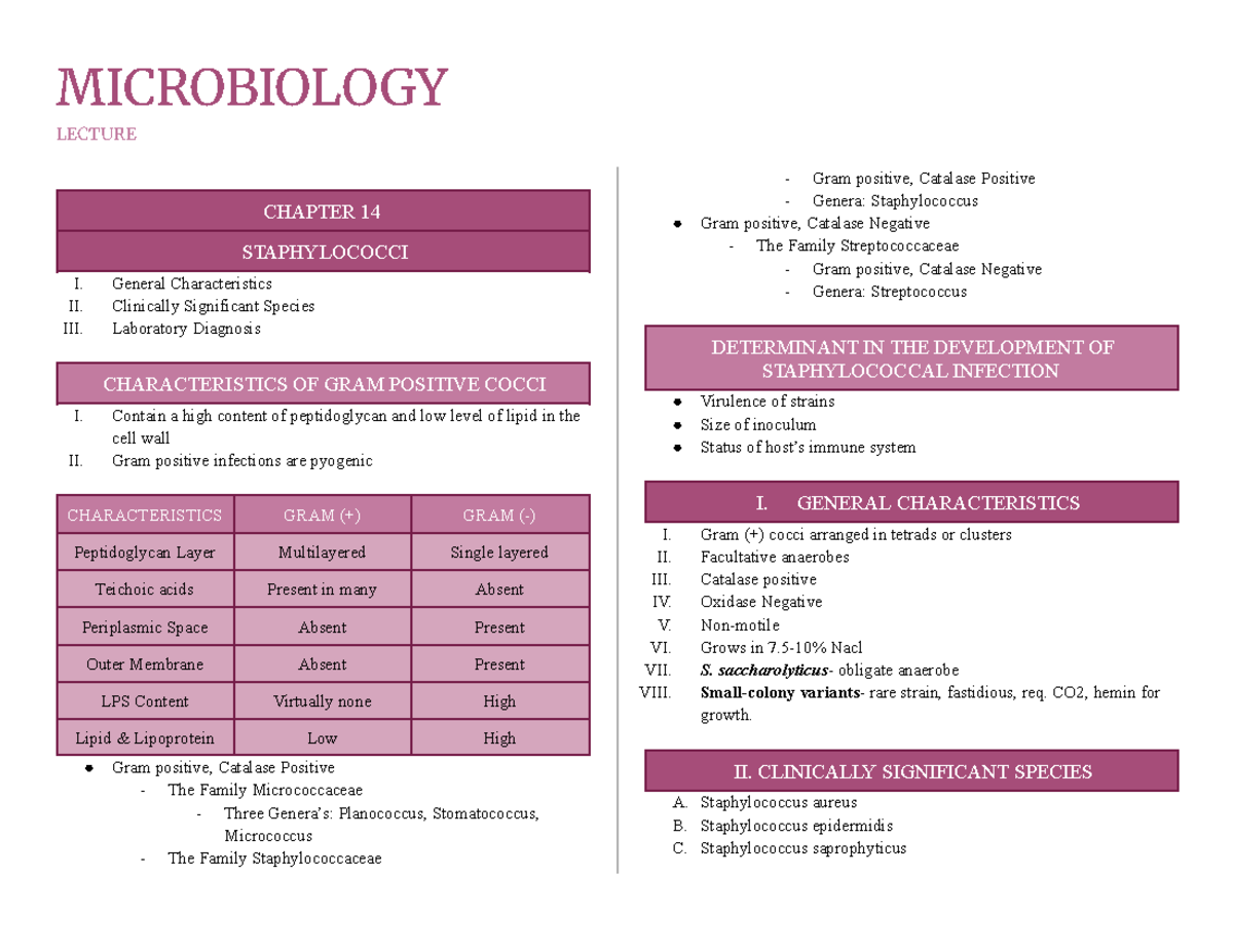 MICROBIOLOGY LECTURE Midterm Review: Gram Positive Cocci and Infections ...