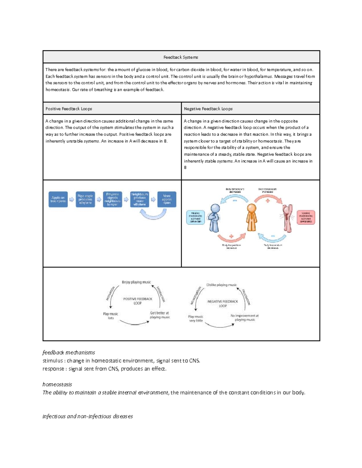 Feedback Systems: Homeostasis and Regulation Mechanisms - Studocu