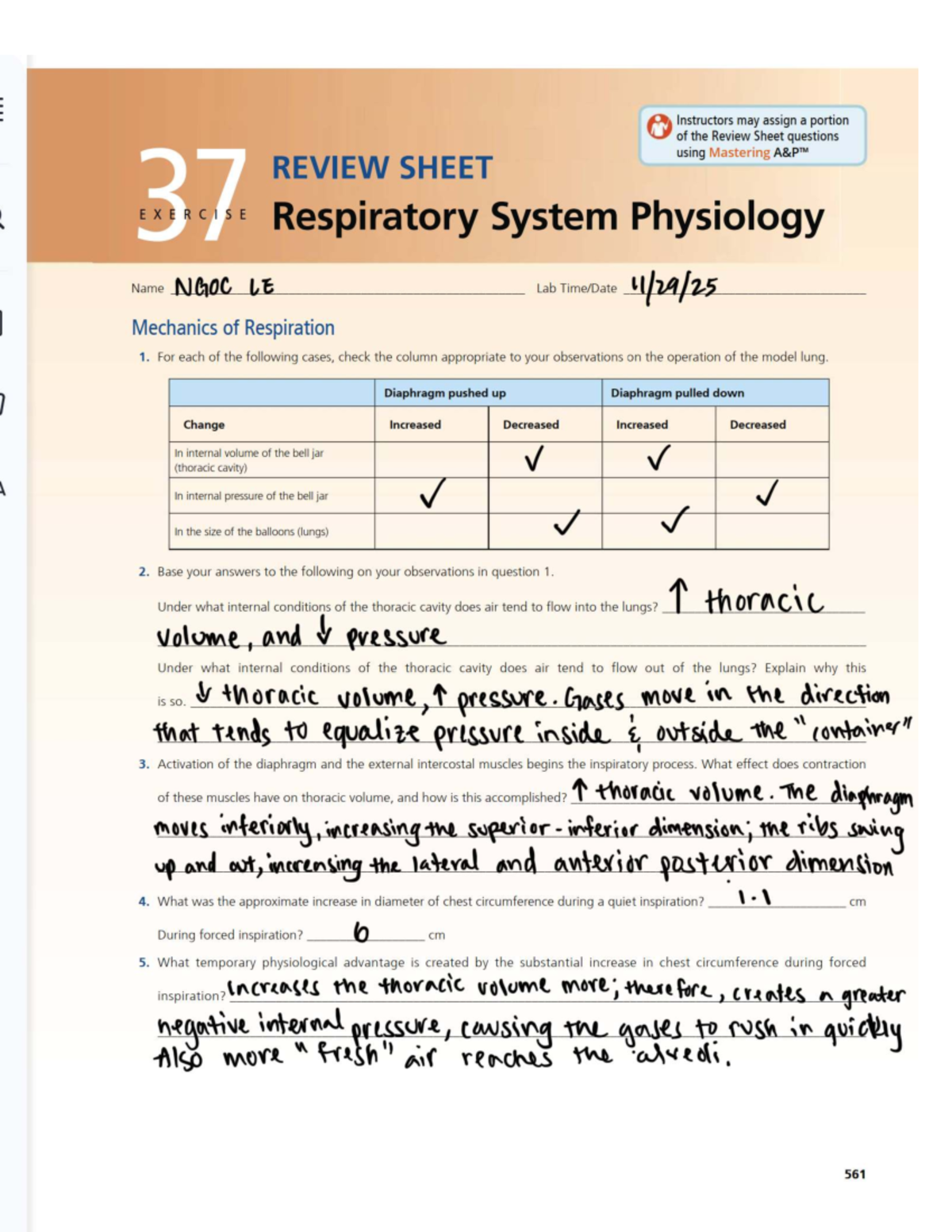 WK5 LAB HW - Respiratory System Physiology Review Sheet - Studocu
