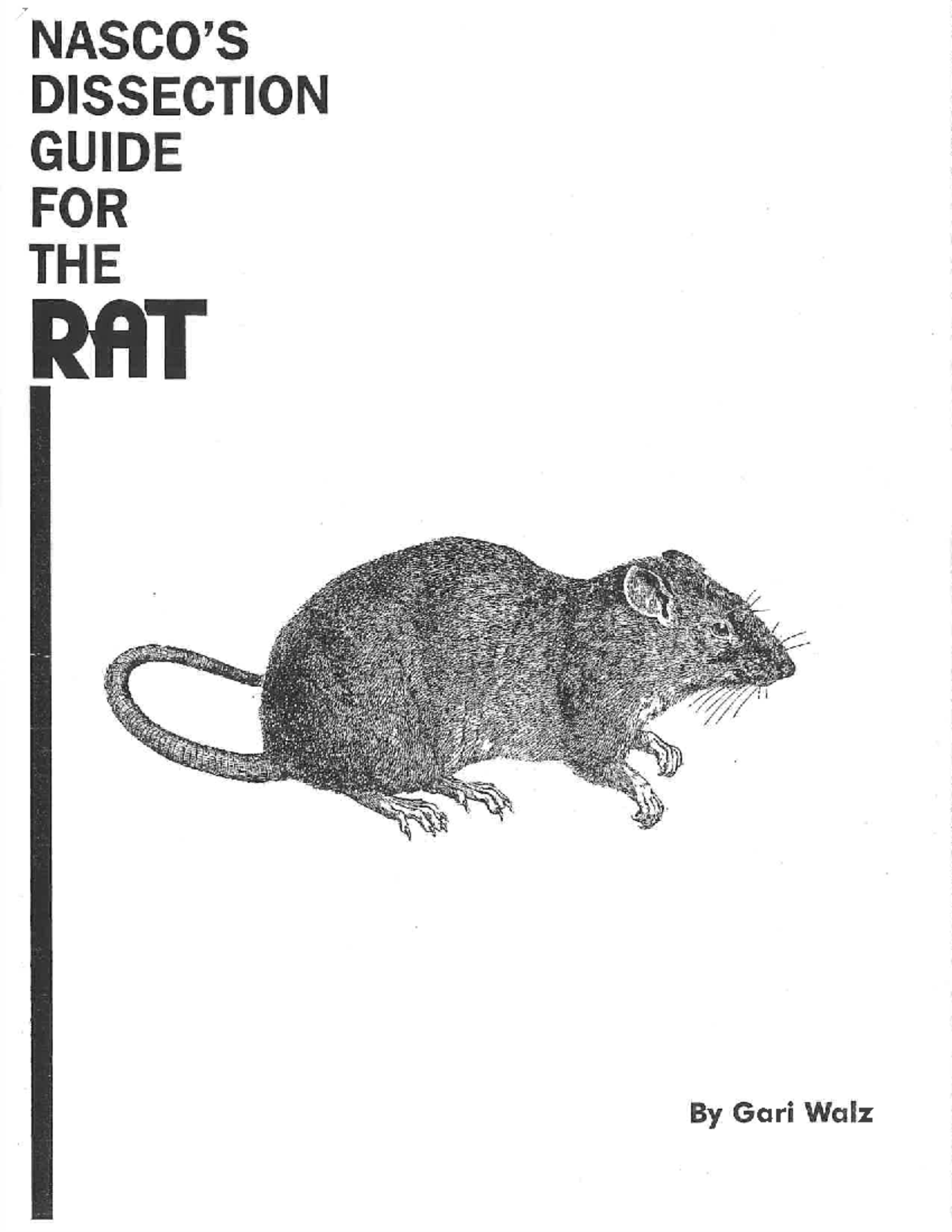 Rat Dissection Guide for Biological Studies: Anatomy and Procedures ...