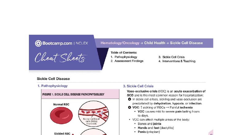 Pediatric Hematological Function: NCLEX Sickle Cell Disease Insights ...