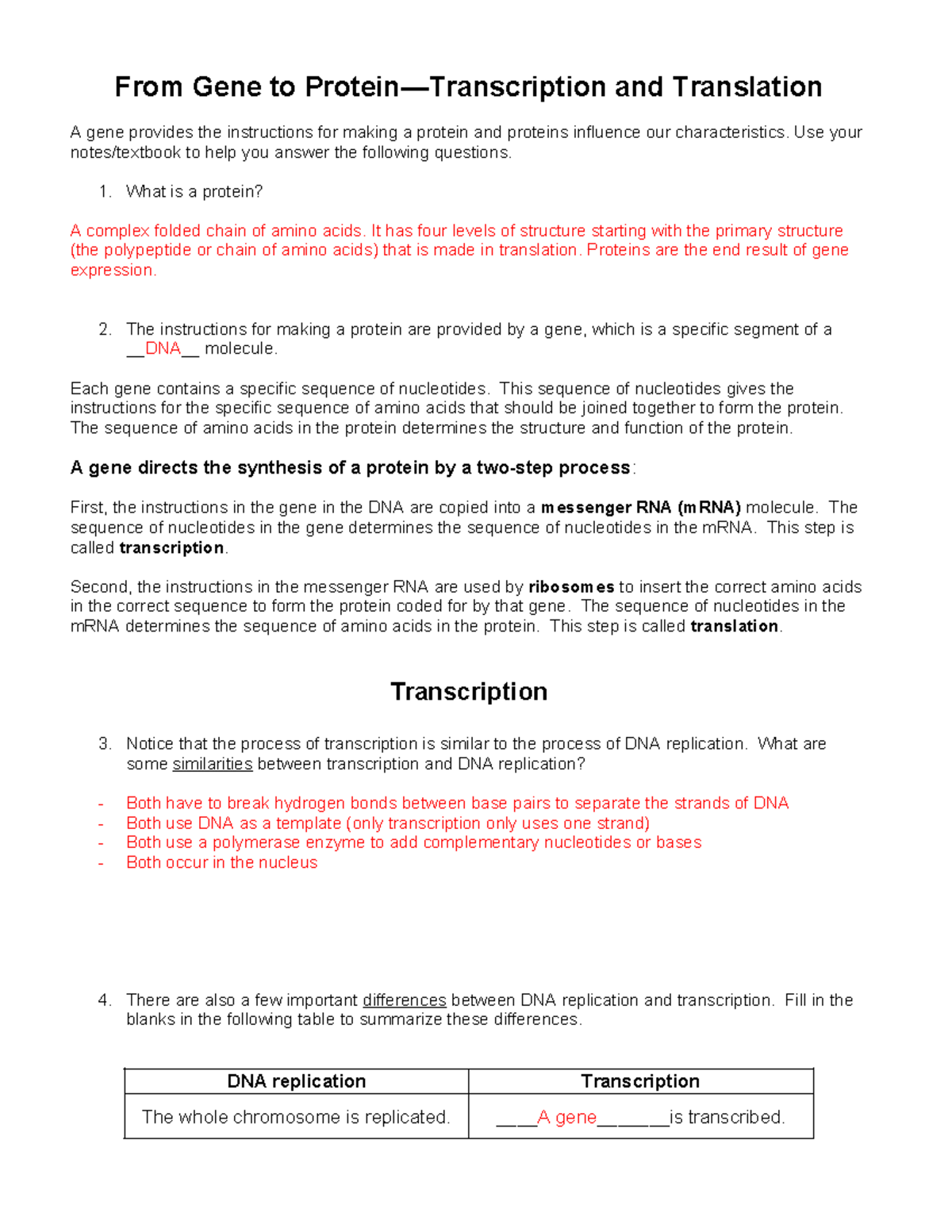 Module 3 - From Gene to Protein: Key Concepts and Answers - Studocu