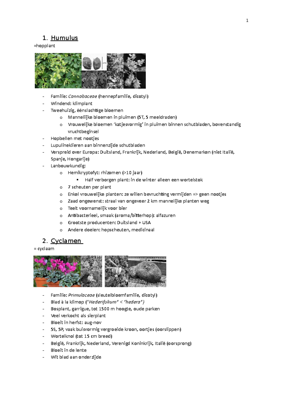 Samenvatting planten van de week - 1. Humulus =hopplant Familie ...