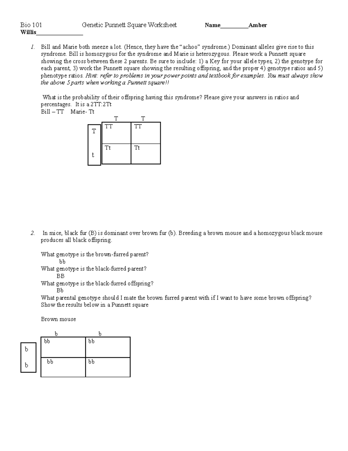 Bio 101 Final Exam: Genetic Punnett Squares Worksheet Guide - Studocu
