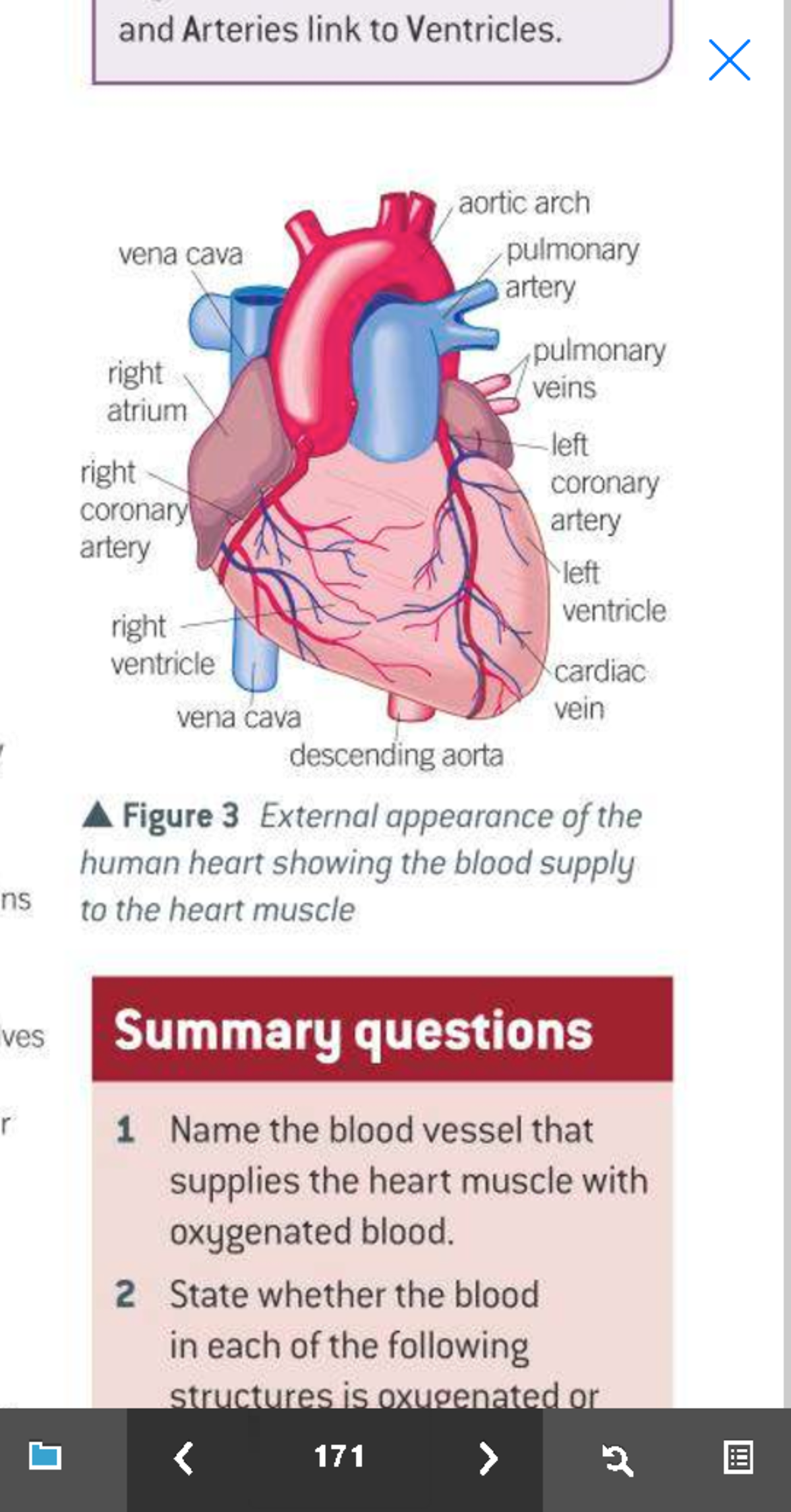 AQA Biology 3 - Notes - and Arteries link to Ventricles. J ,aortic arch ...
