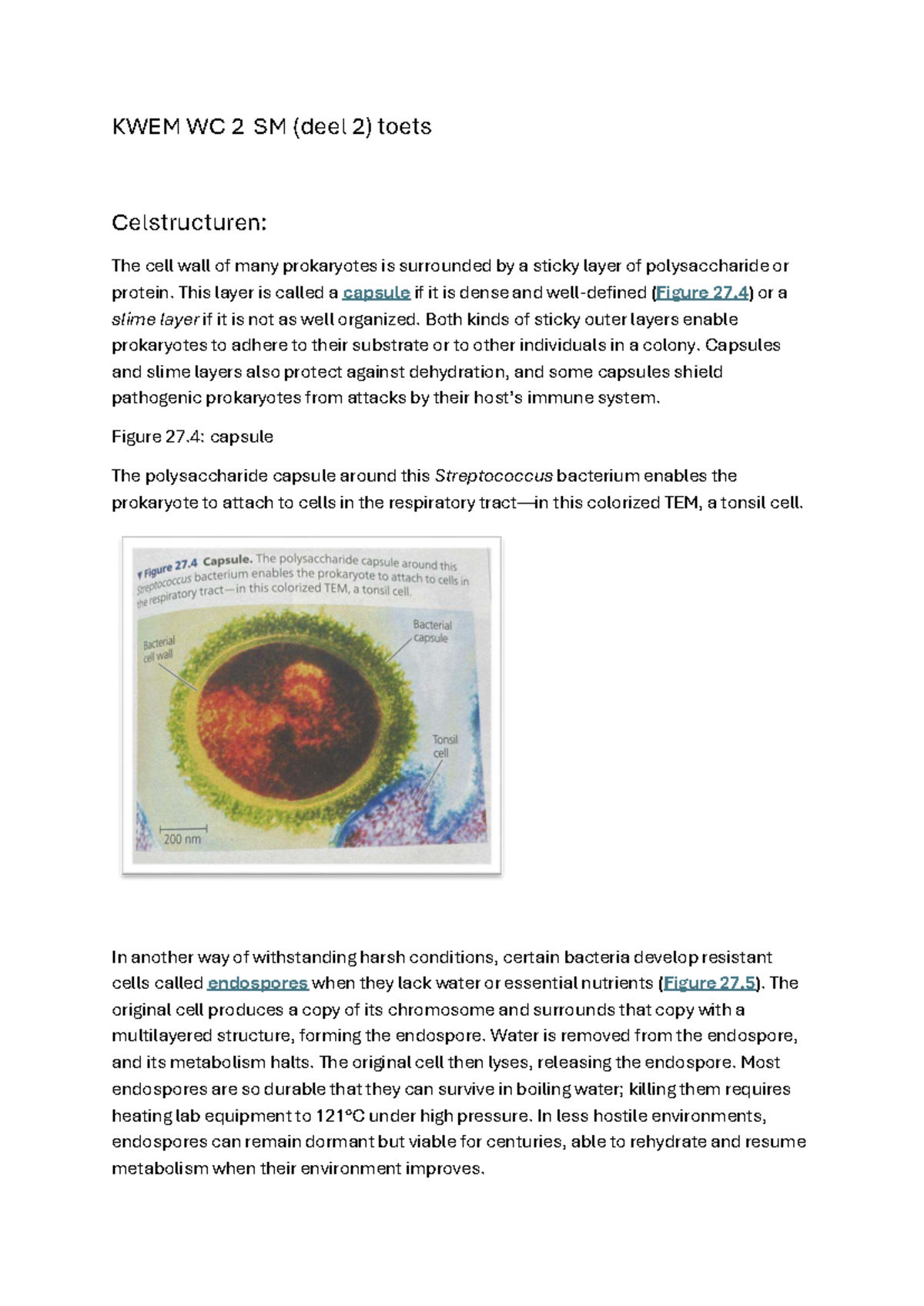 KWEM WC 2 SM (deel 2) Toets: Celstructuren en Genetische Overdracht ...