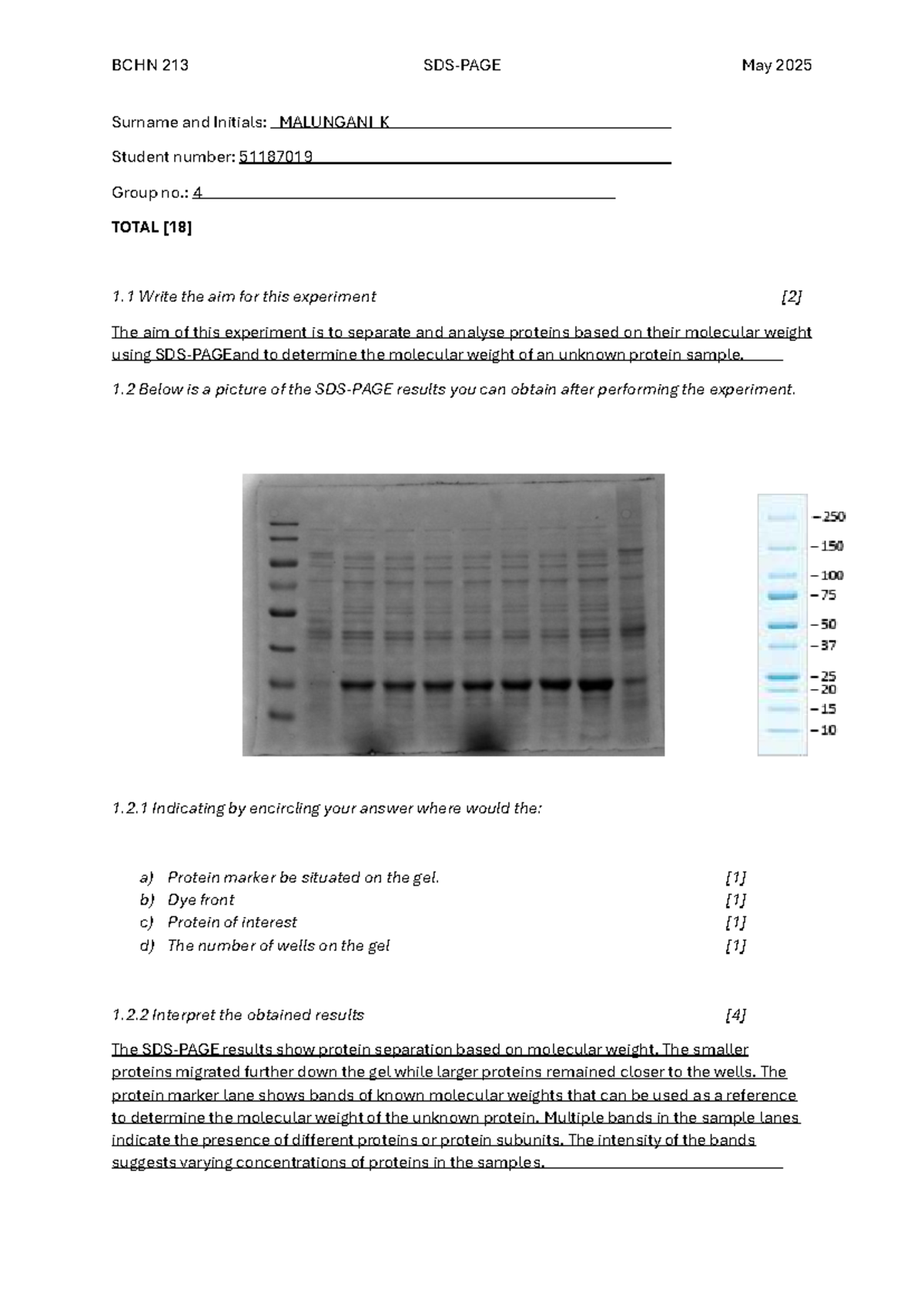 BCHN 213 Practical 4: Protein Separation & Analysis Techniques - Studocu