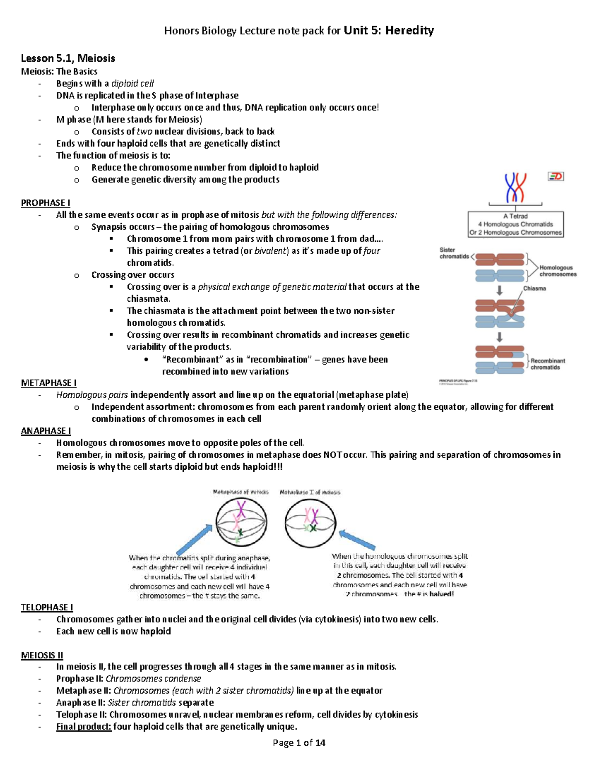 Unit 5 Lecture Notes: Heredity in Honors Biology (Meiosis, Mendel ...