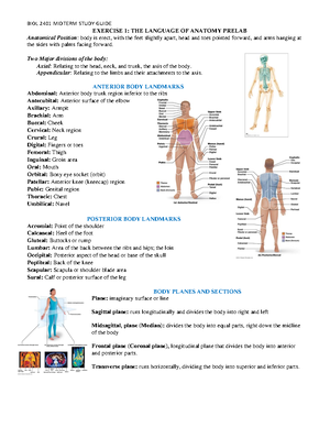 AP - Lab Ex. 08 review sheet chapter 8 Overview of the Skeleton: Classification and Name ...