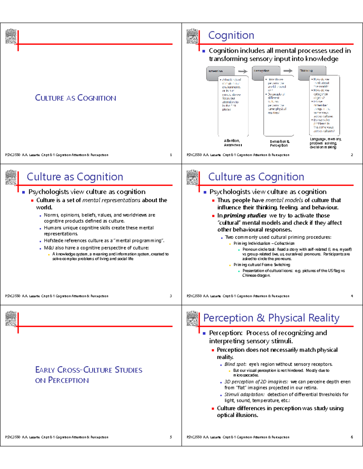 Cognition, Culture, and Perception: Insights from PSYC3550 Lecture ...