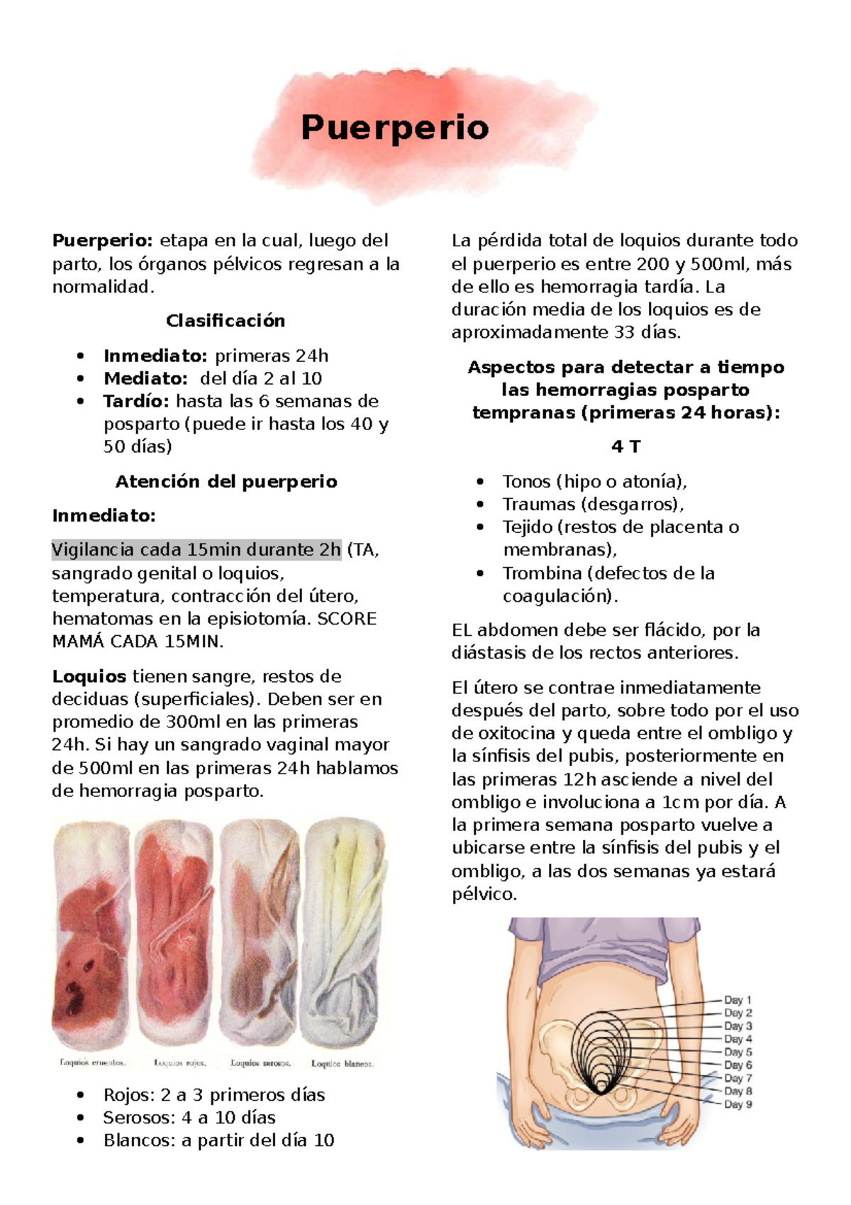 03. Puerperio Normal: Clasificación, Atención y Recomendaciones - Studocu