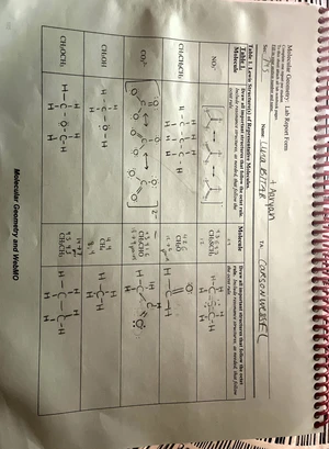 Zinc and Iodine Reaction Lab Report for Chemistry 101 - Studocu