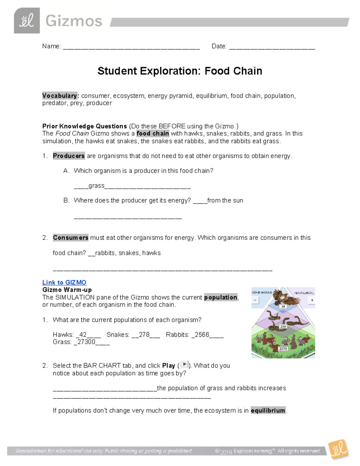 Gizmos Food Chain Exploration Handout - A (Student Version) - Studocu