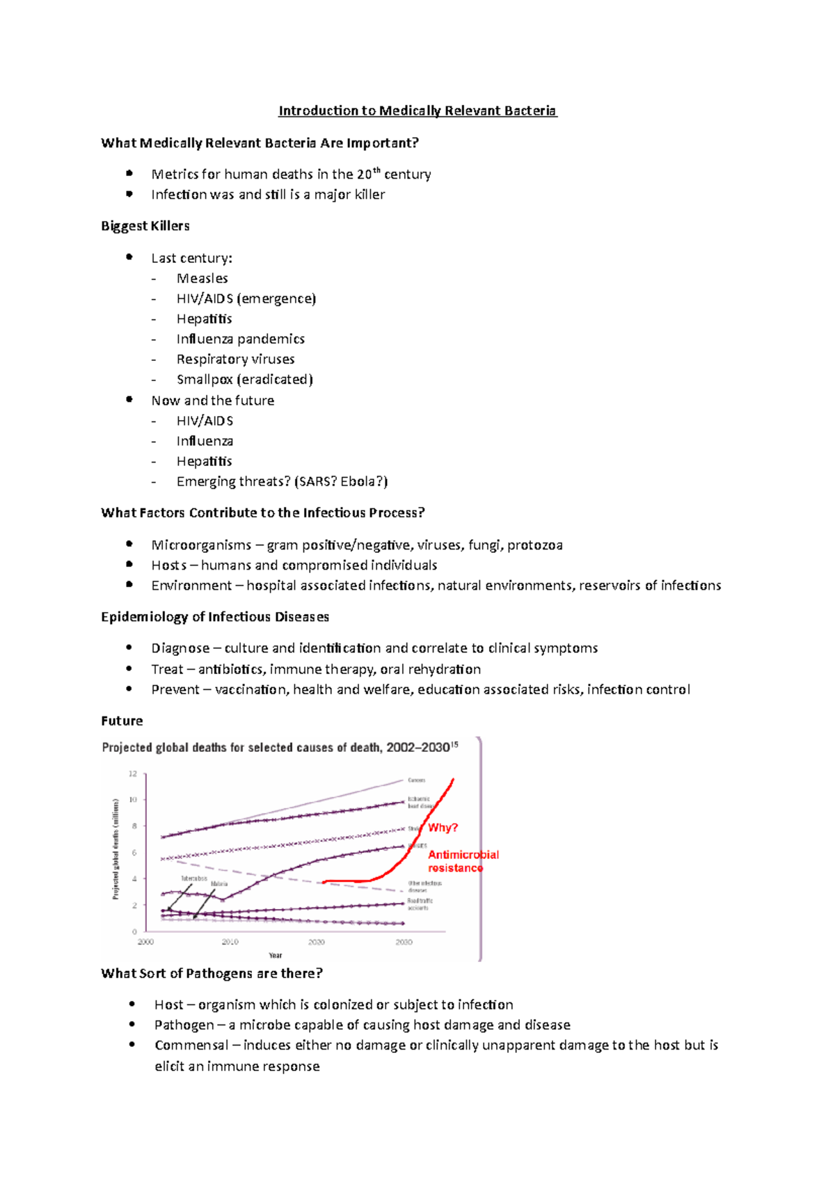 Introduction to Medically Relevant Bacteria: Key Insights ...