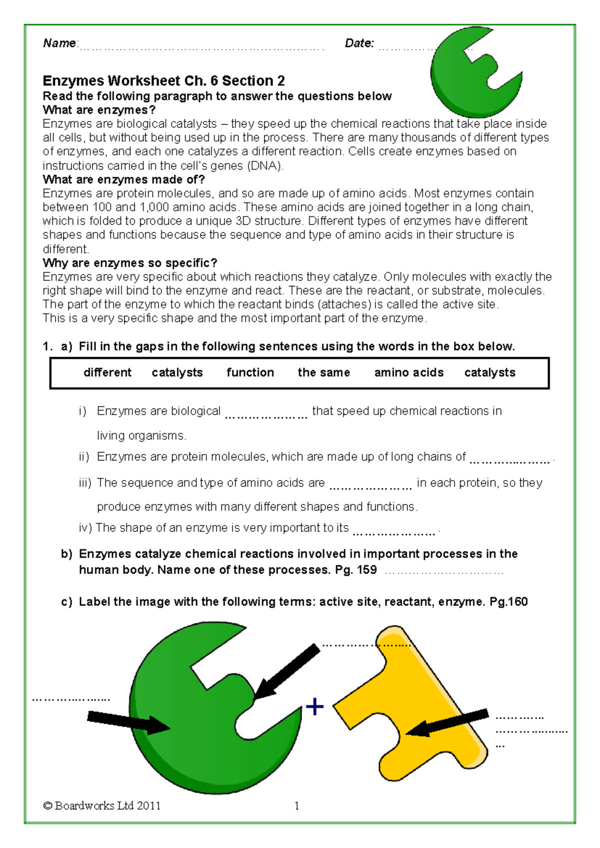 Digestive Enzymes Worksheet - Ch. 6 Sec. 2 Practice - Studocu