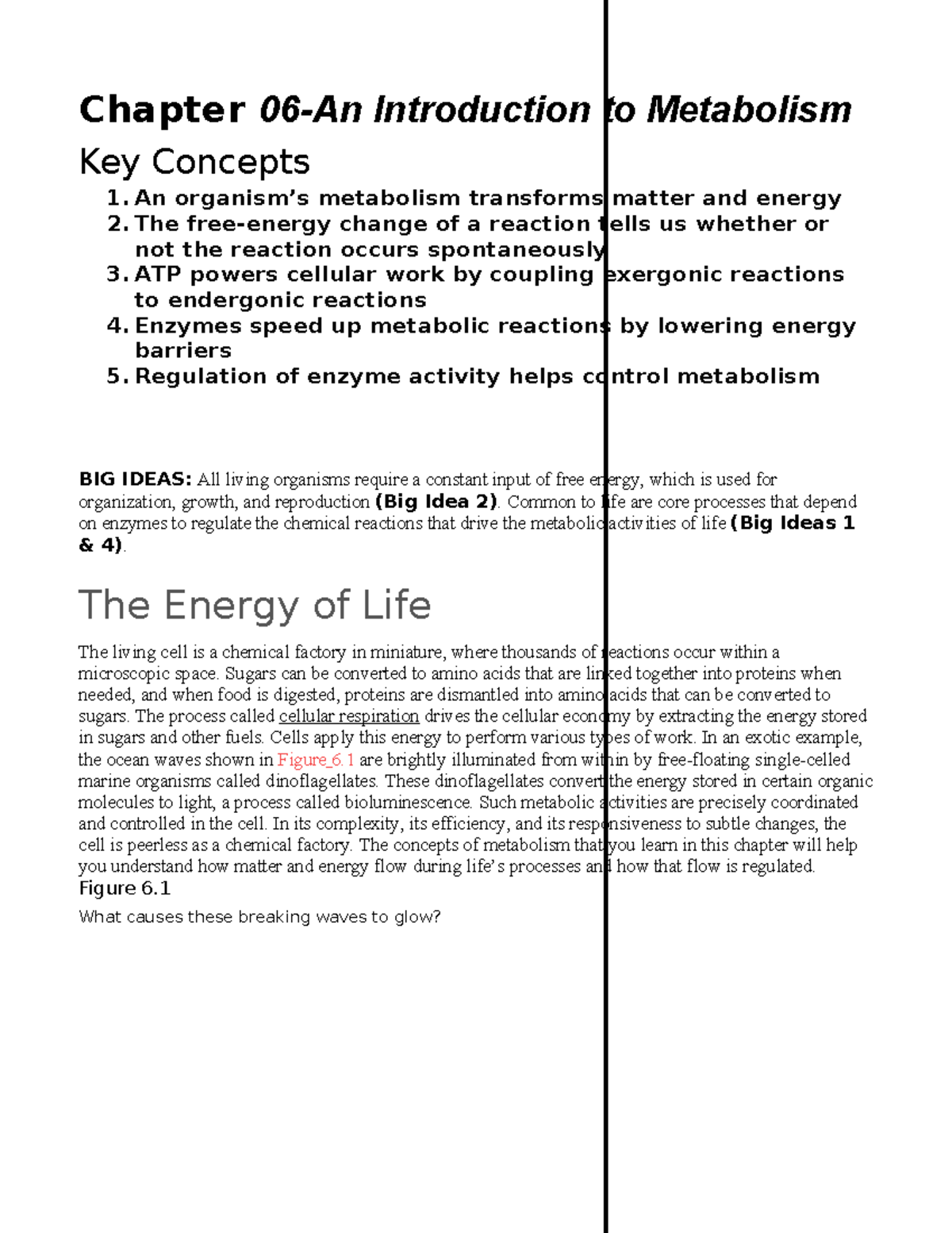 Chapter 06-Introduction to Metabolism- Student - Chapter 06-An ...