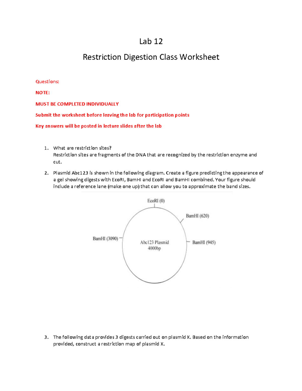 Lab 12: Restriction Digestion Mapping Worksheet and Questions - Studocu