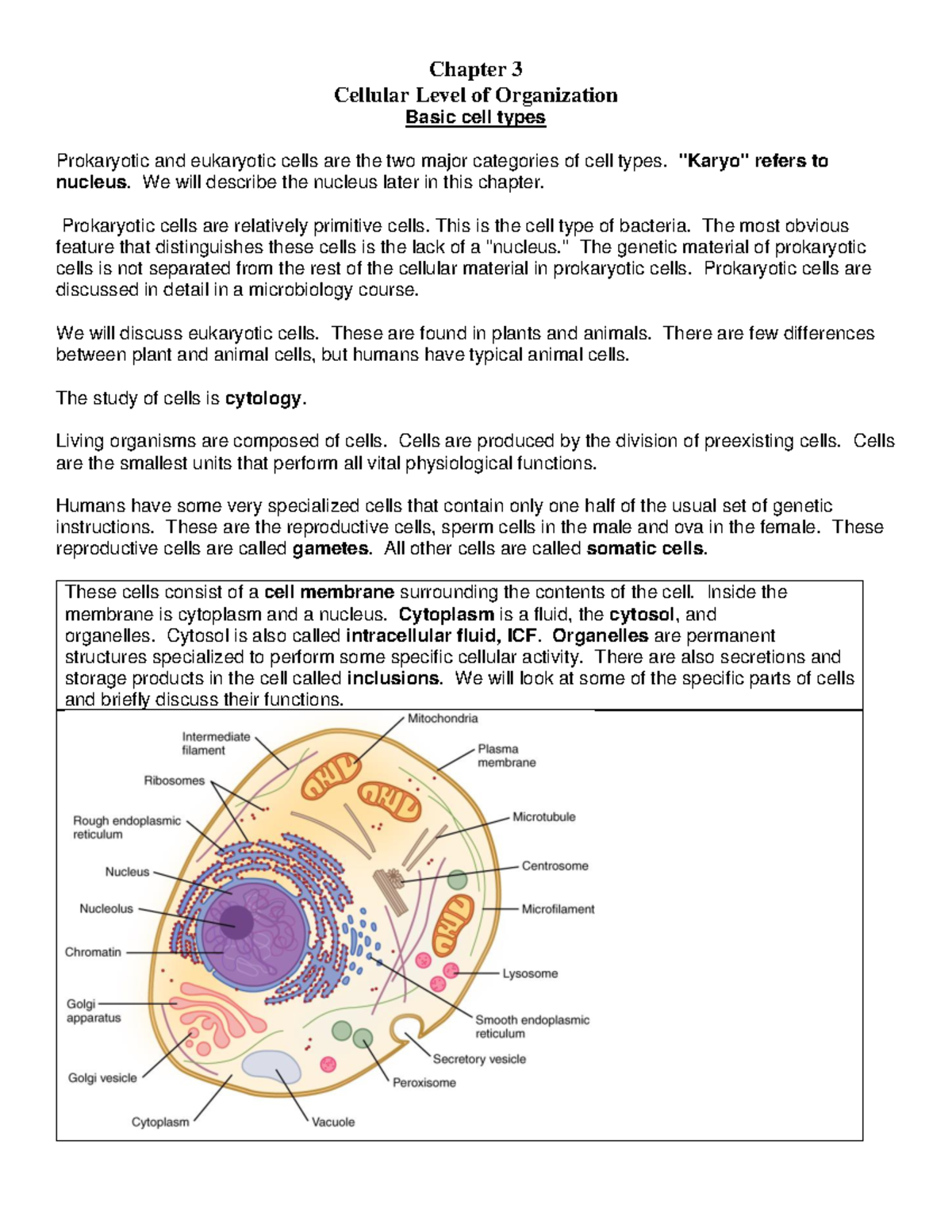 Chapter 3: Cellular Level of Organization - Studocu