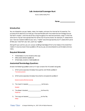 Lab Exercise 2 Review Sheet - NAME _____________________________ LAB TIME/DATE ...