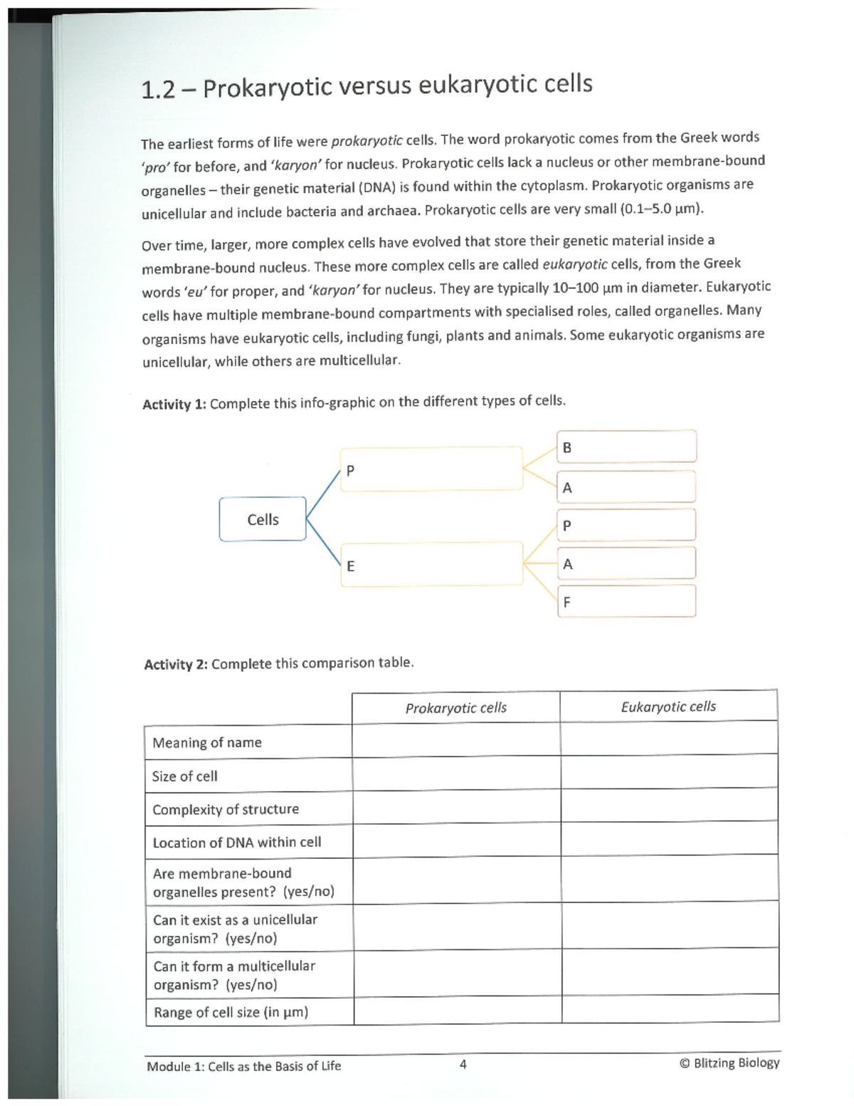 1.2 Prokaryotic vs Eukaryotic Cells: Key Differences and Activities ...