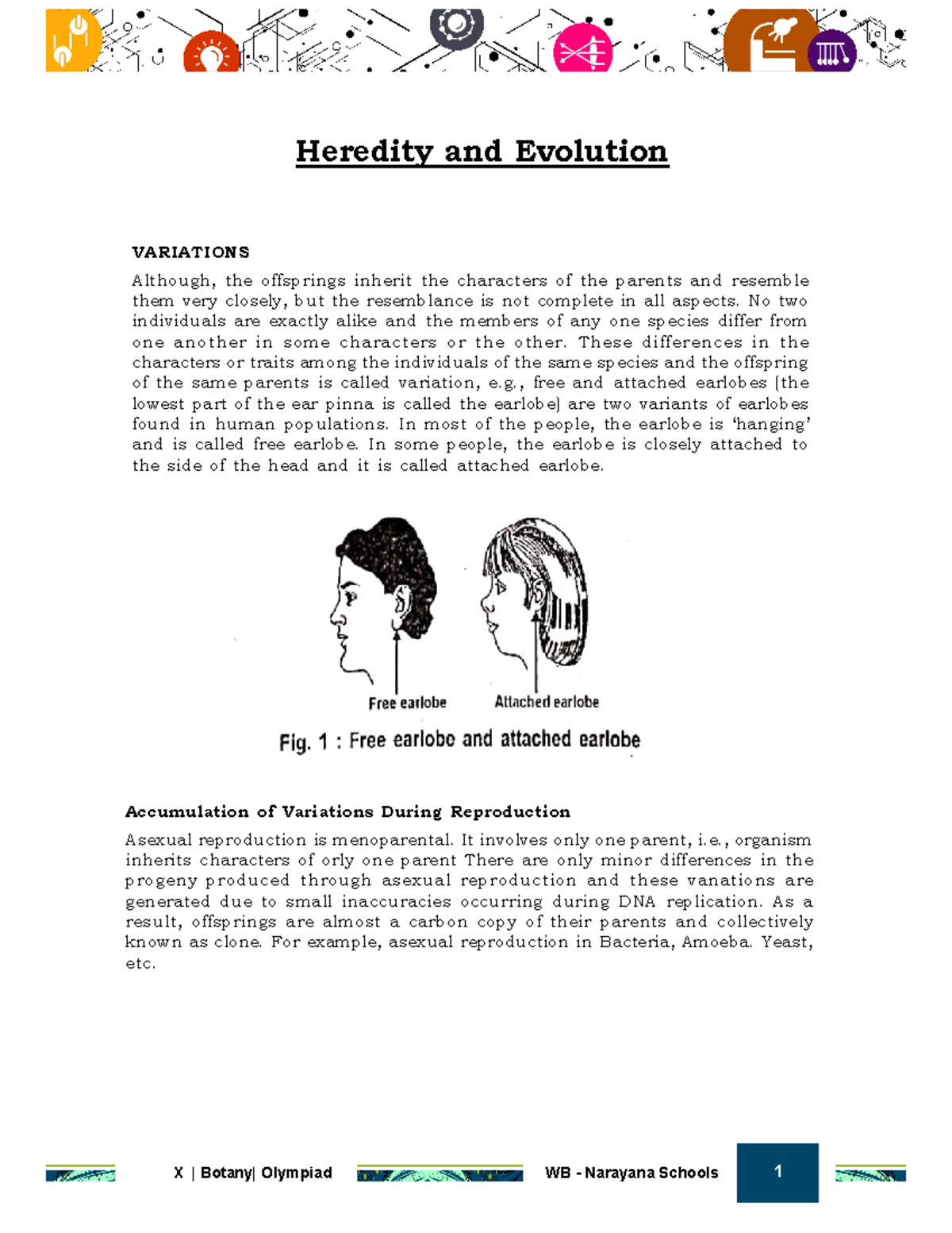 Botany Olympiad Study Guide: Heredity, Variations, and Mendel's Laws ...