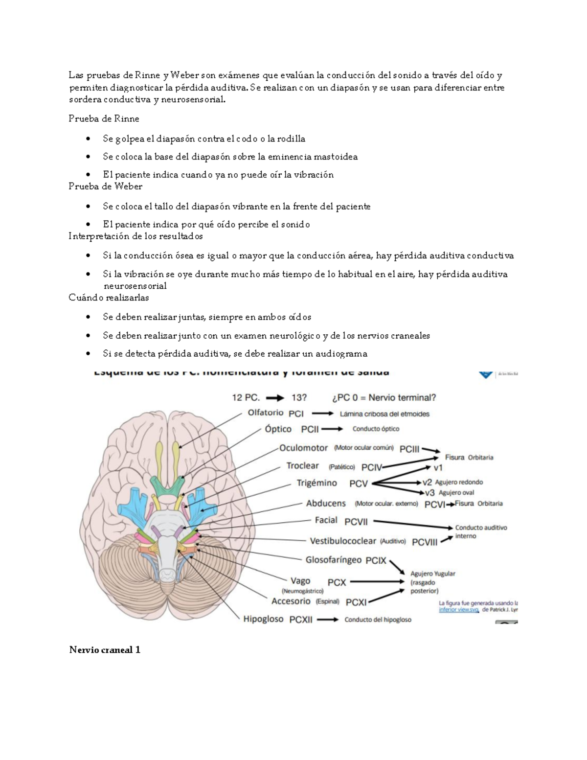Pruebas de Rinne y Weber: Evaluación de la Pérdida Auditiva - Studocu