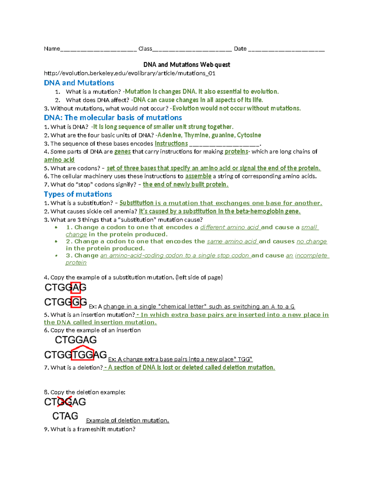 DNA and Mutation Webquest - Understanding Types and Effects of ...