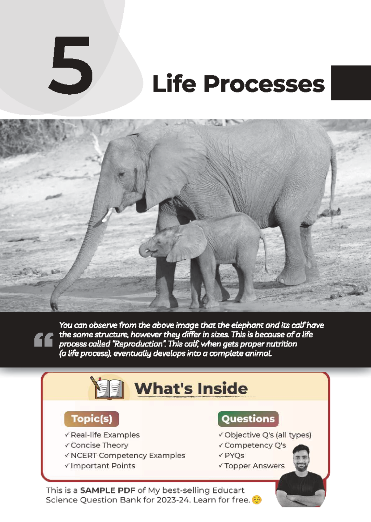 CBSE-X Science Chapter 5: Life Processes Overview and Key Concepts ...