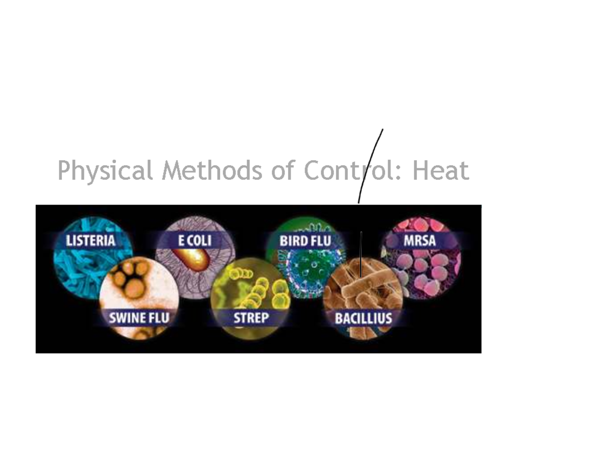 Physical and Chemical Control Methods: Microbial Management Techniques - Studocu