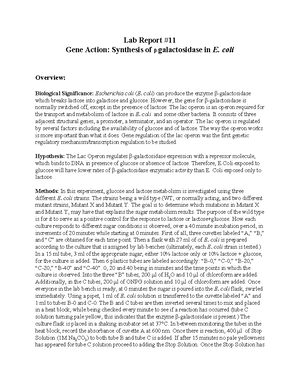 Bio 161 lab report #8 - Meiosis & Mendelian Genetics: fast plants - LAB ...