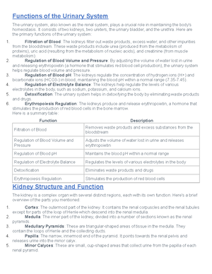 Chapter 28 - Reproductive System - Answers to quizzes - BIO 142 - Studocu