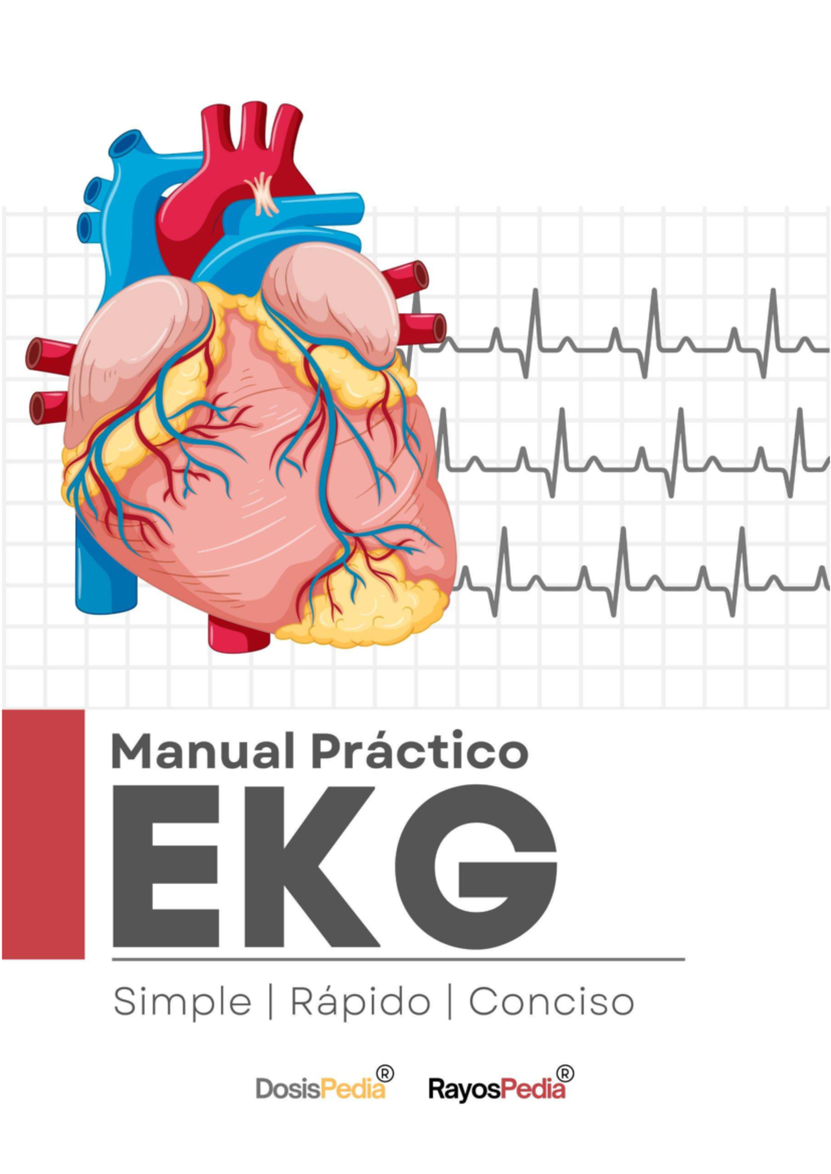 Manual EKG (ECG) Rayospedia: Comprendiendo el Electrocardiograma - Studocu