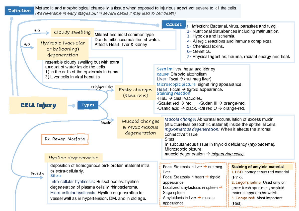 Cell Injury: Mechanisms, Causes, and Types Explained - Studocu