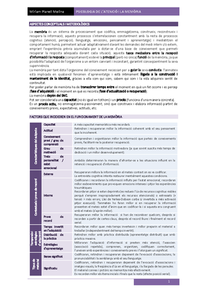 [Solved] Lexecutiu central exerceix un paper clau en el model de cohort ...