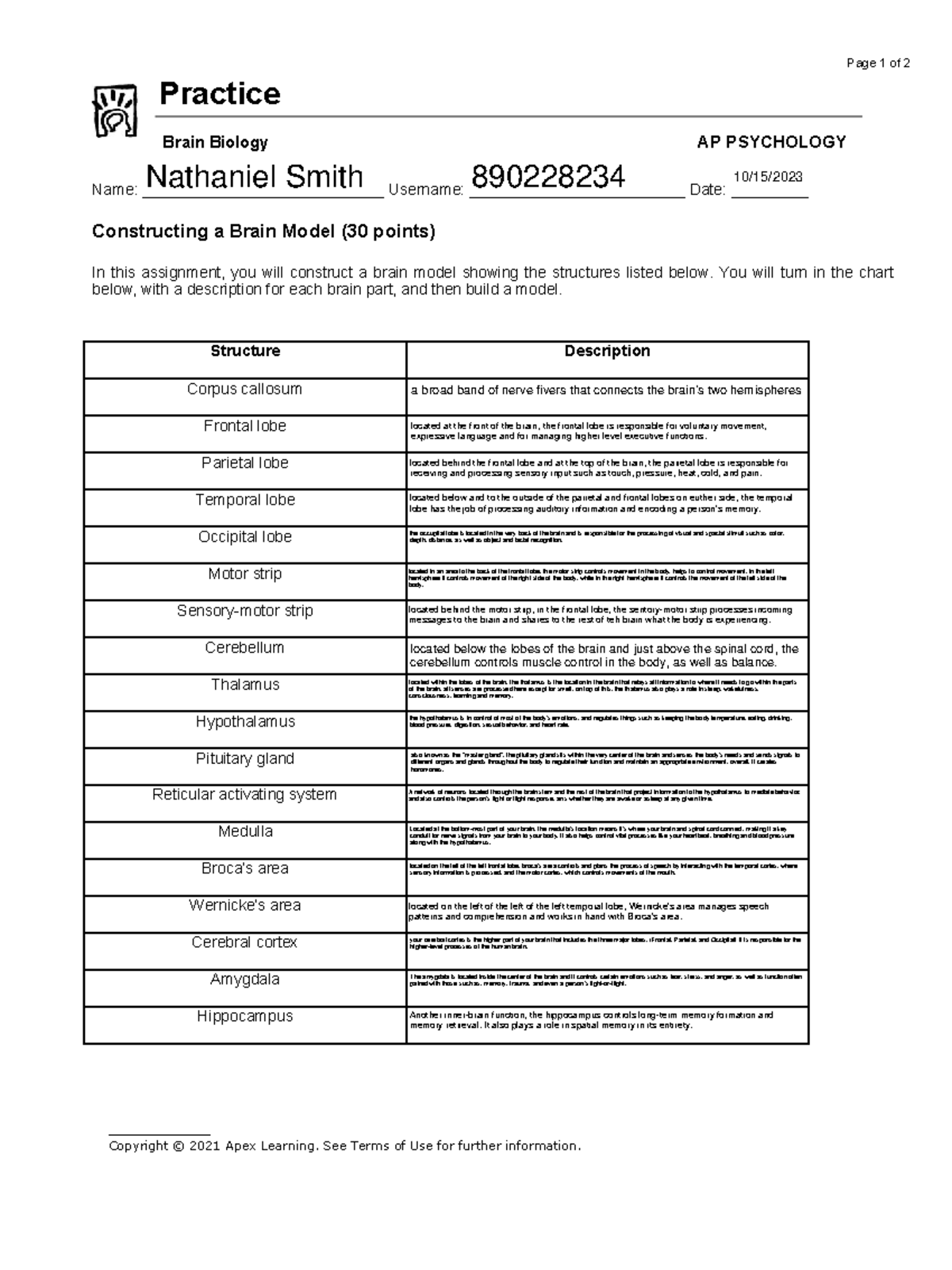 AP PSYCHOLOGY: Constructing a Brain Model Assignment Guide - Studocu