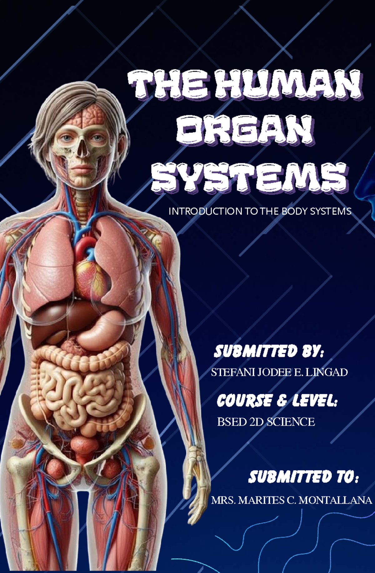 SCI 203 Anatomy and Physiology: Summary of Human Organ Systems - Studocu