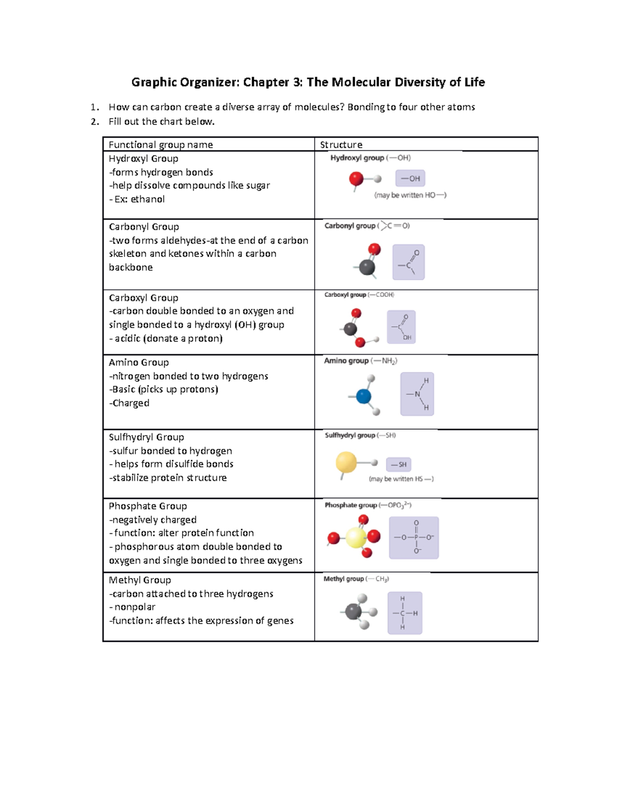 Graphic Organizer: Chapter 3 - Molecular Diversity of Life - Studocu