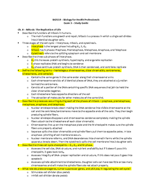 Bare Witness v0 - Nope - Bare Witness v0. 4 Walkthrough Bare Witness is ...