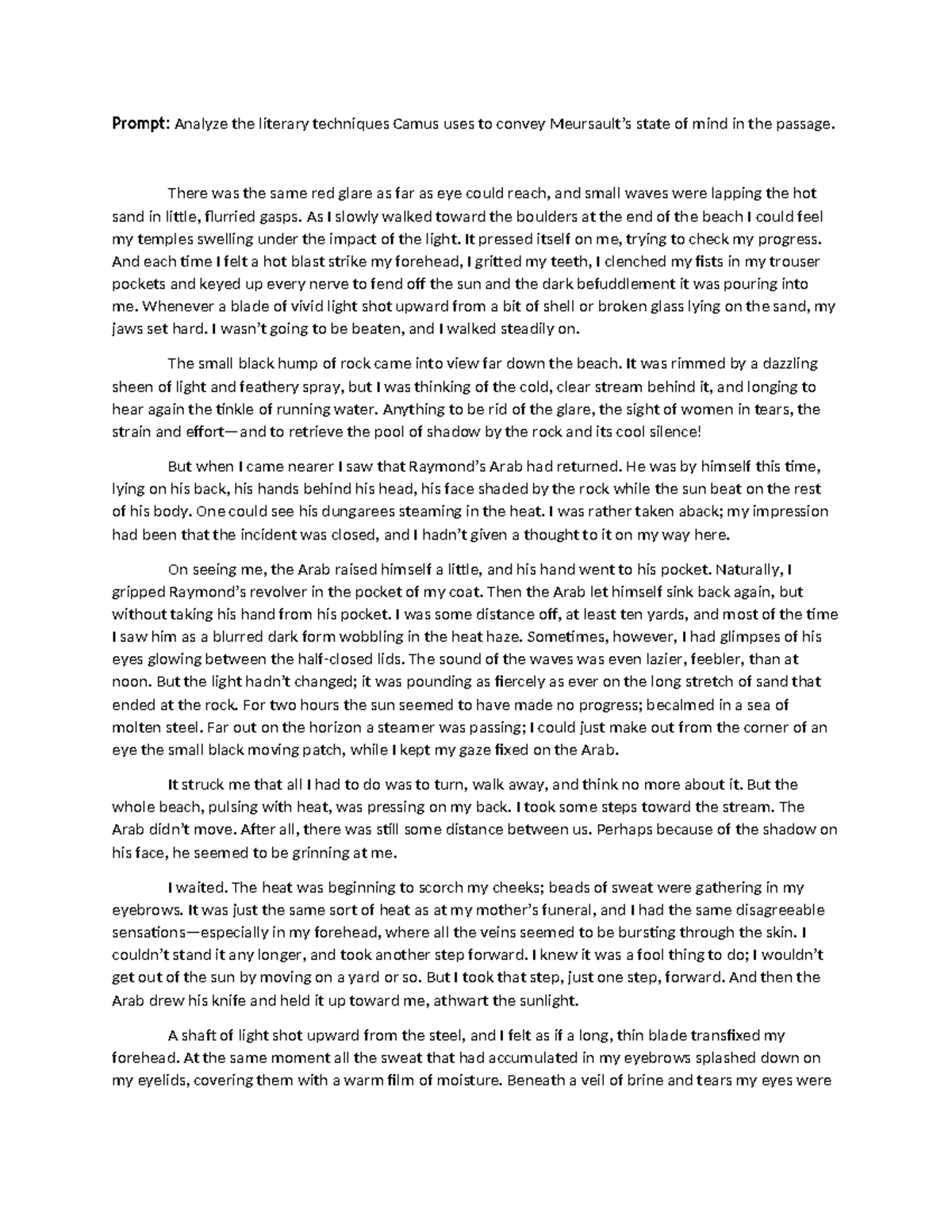 Close Reading - Literary Techniques in Camus' "The Stranger" (Chapter 6 ...