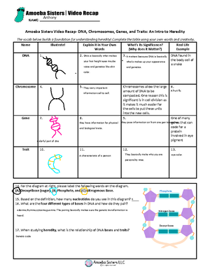 mitosis by amoeba sisters - AMOEBA SISTERS: VIDEO RECAP MITOSIS: THE ...