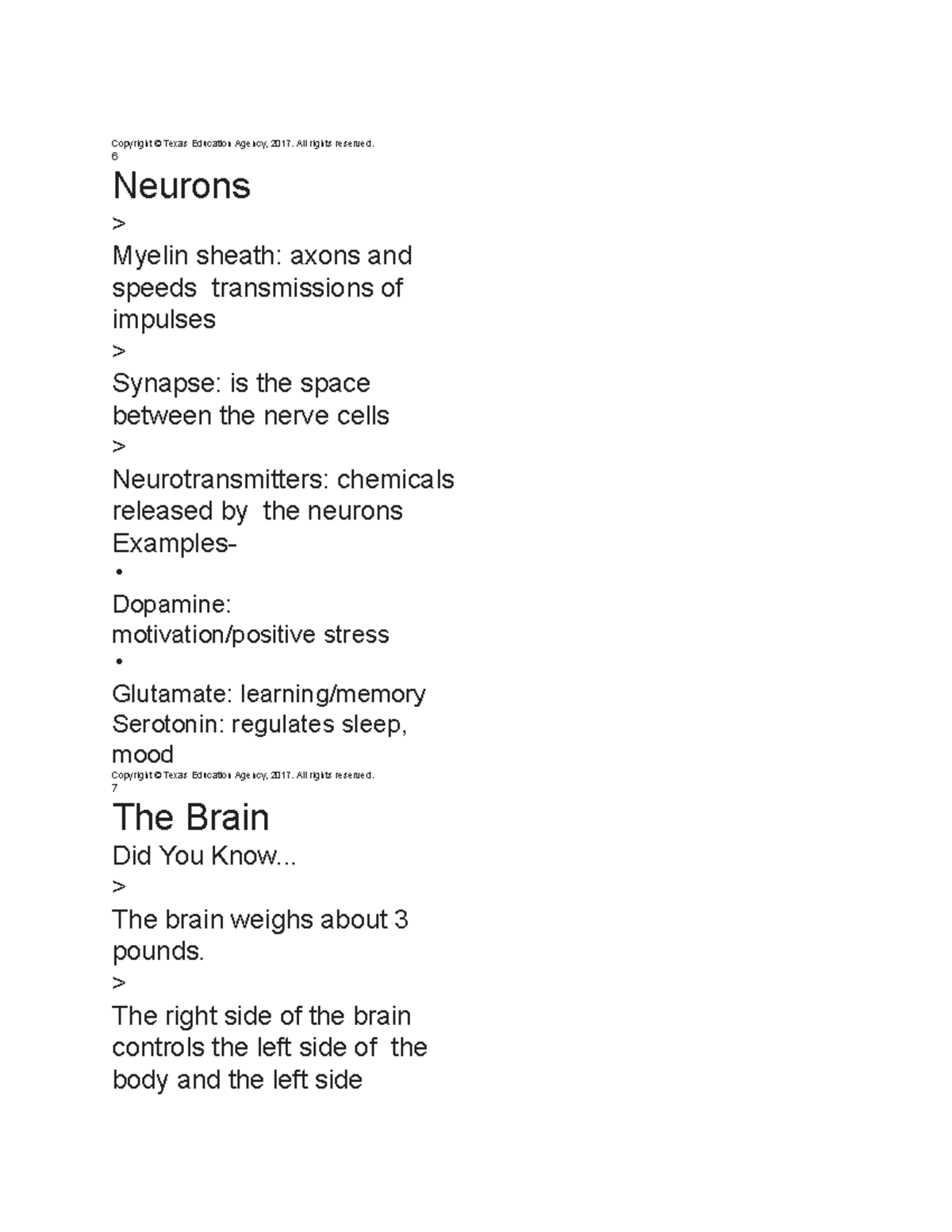 Brain Anatomy Overview: Course Details on Neurons & Structure ...