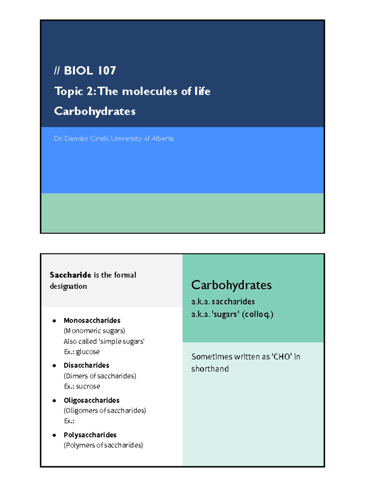 BIOL 107 Final Exam Notes: Carbohydrates and Their Functions - Studocu