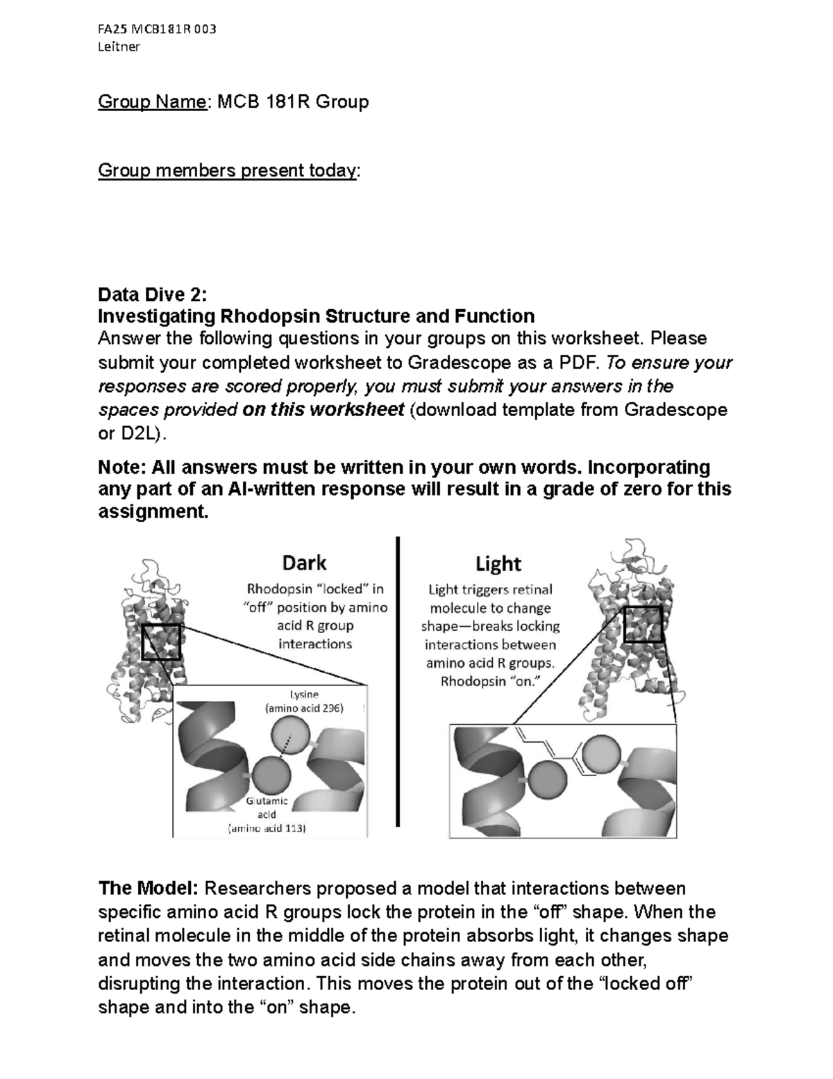 FA25 MCB181R 003 Data Dive 2: Rhodopsin Structure & Function Analysis ...