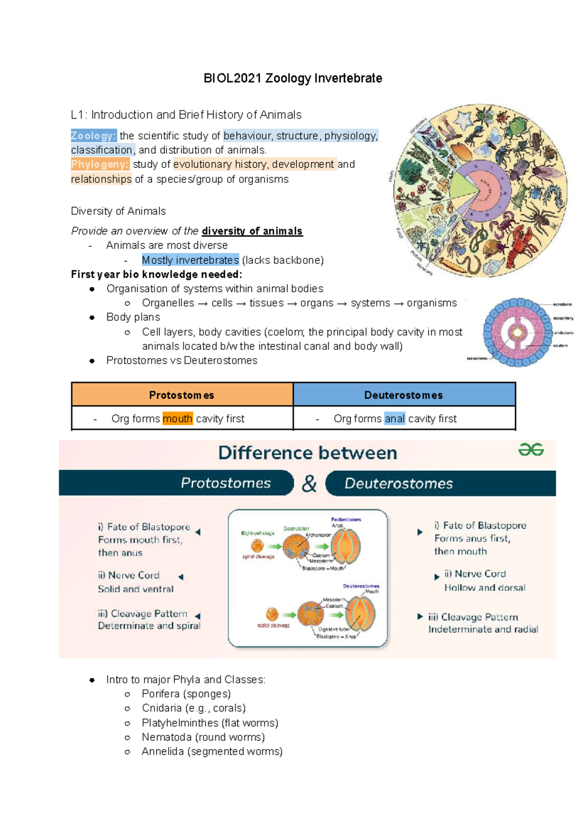 BIOL2021 Final Exam Notes: Invertebrate Zoology Overview - Studocu
