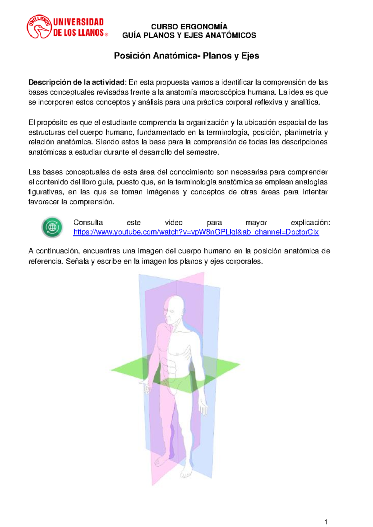 Guía de Planos y Ejes Anatómicos - Curso Ergonomía - Studocu