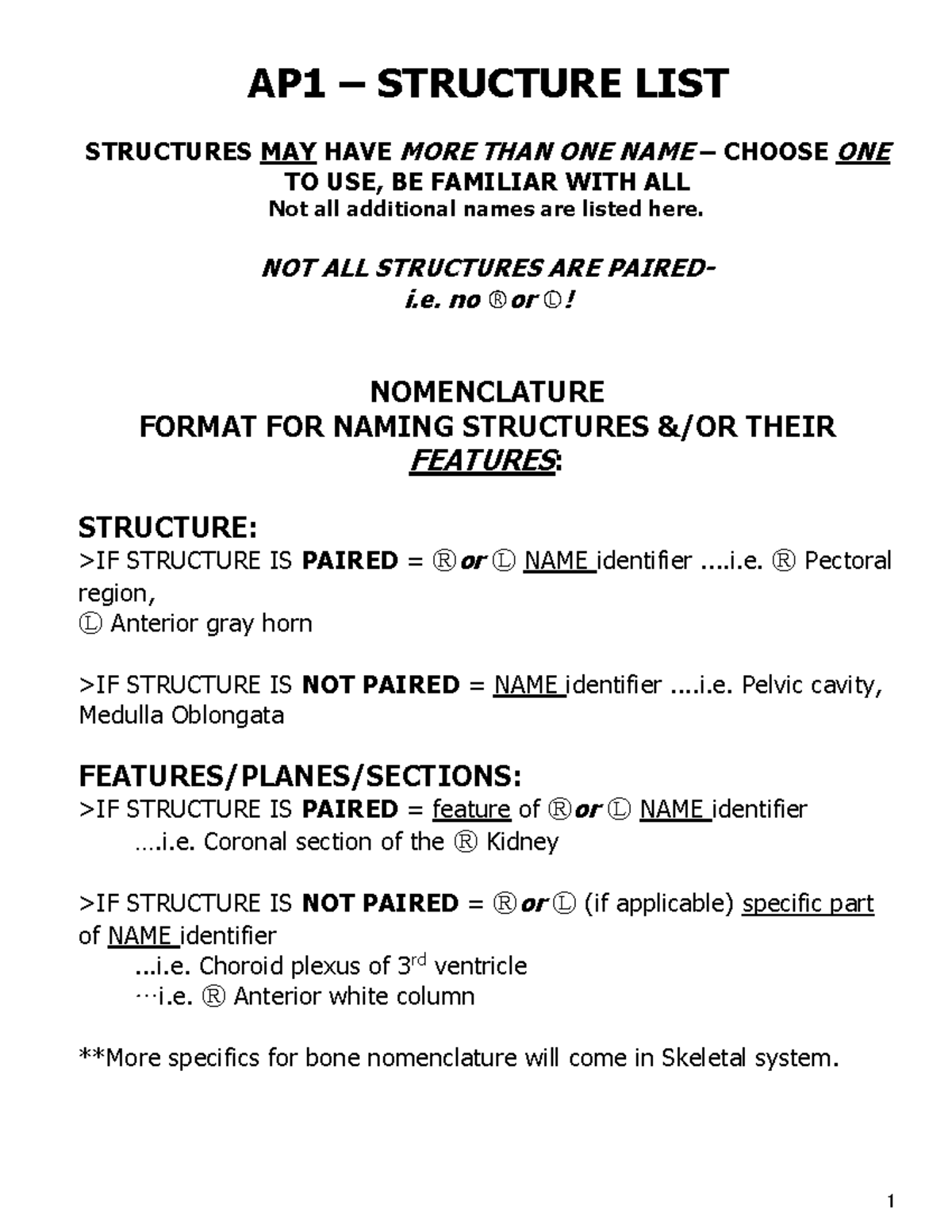 Anatomy Study Guide AP1: Muscles, Bones, and Nervous System Essentials ...