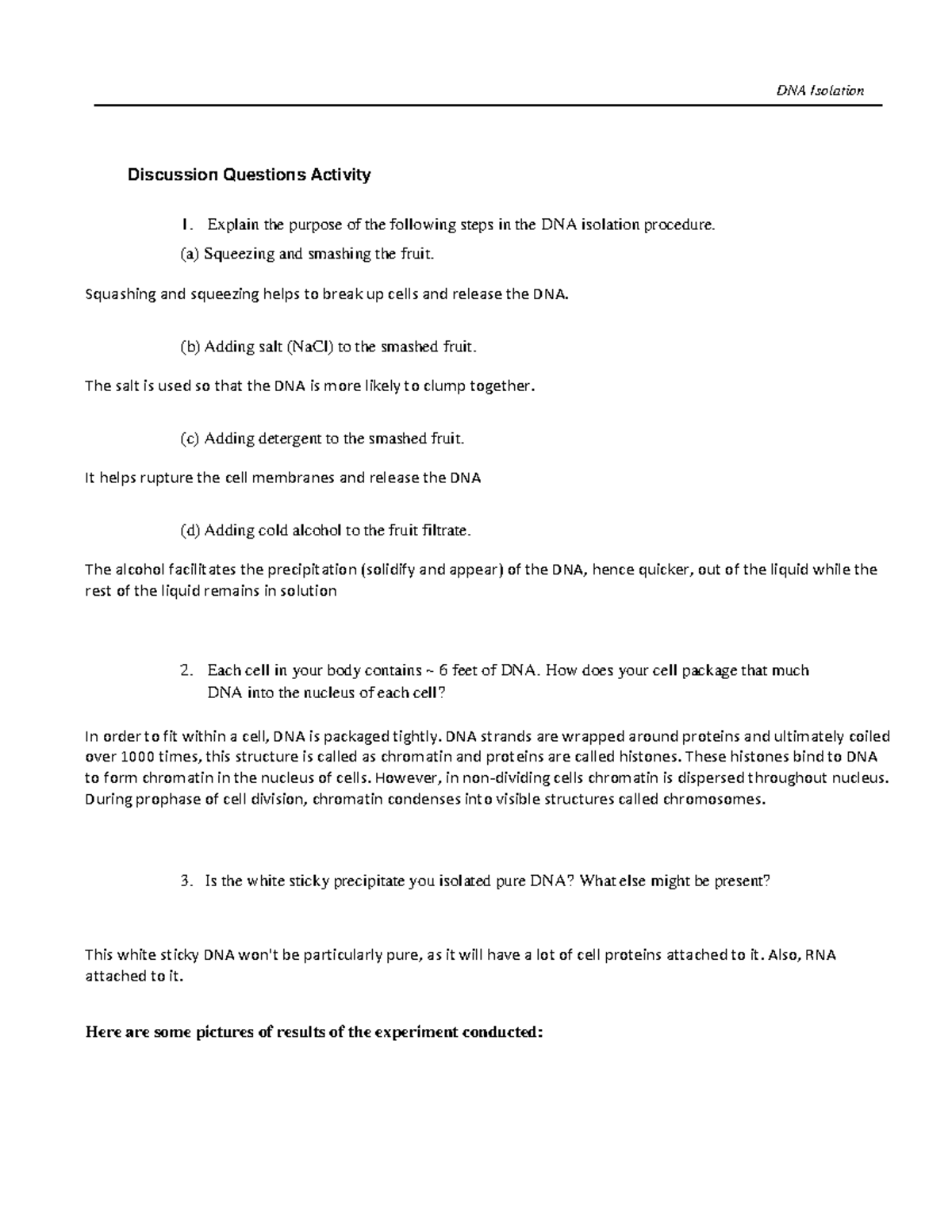 02 2 DNA Isolation Discussion Questions Activity Insights and Outcomes ...