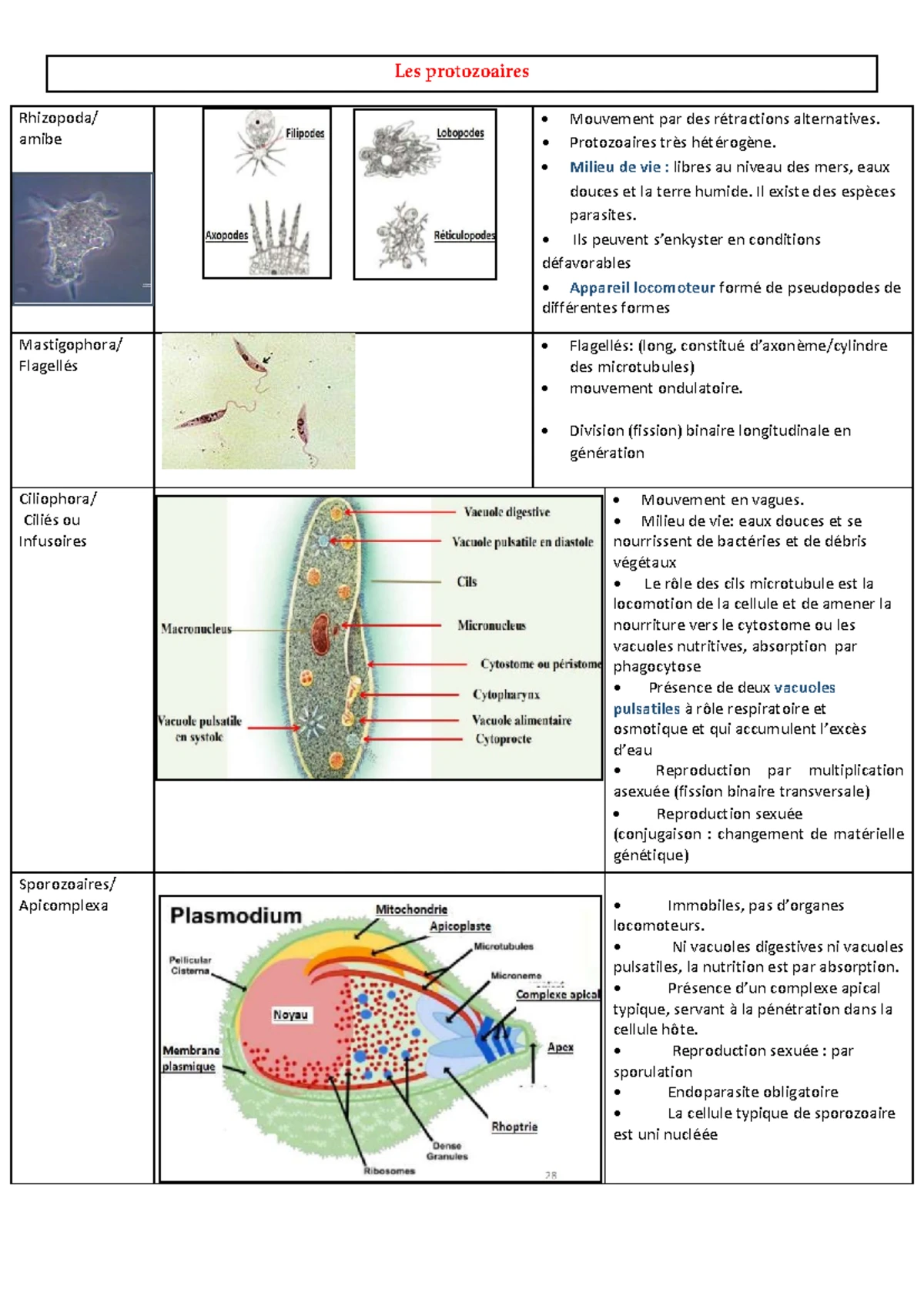 Les cormophytes : Cours général sur l'organisation tissulaire et la ...