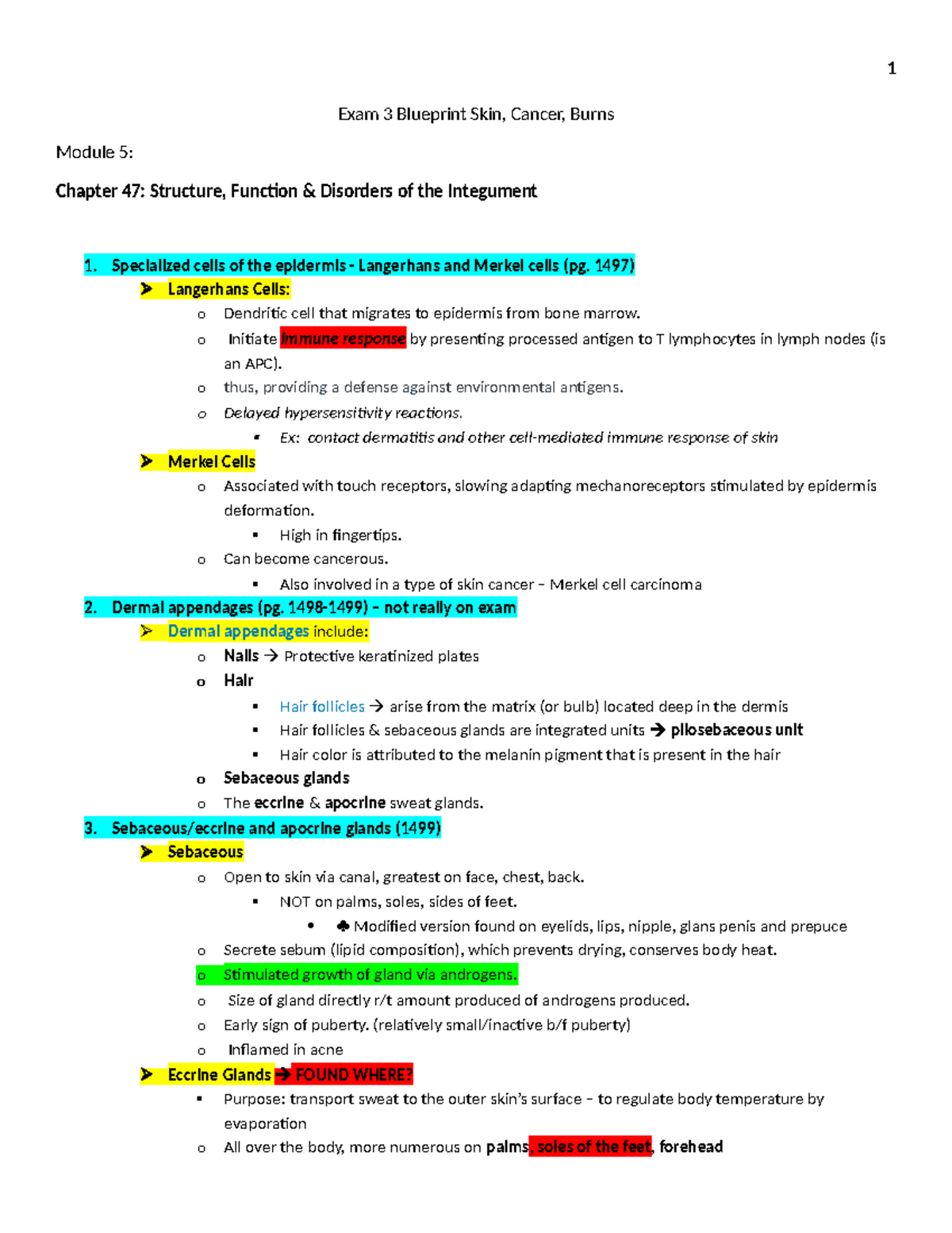 Exam 3 Blueprint: Skin, Cancer, Burns, and Acne Overview - Studocu
